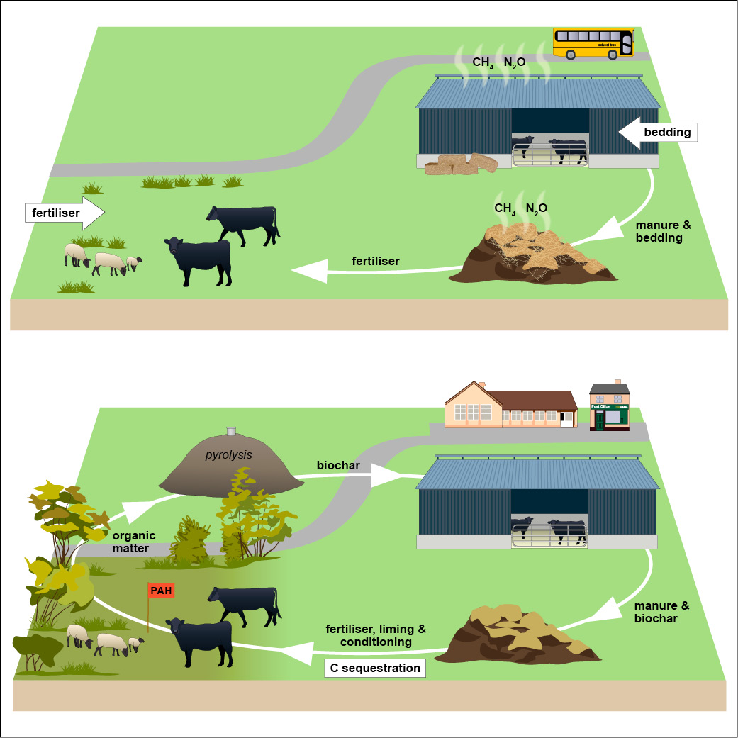 Creating a graphical abstract to explain ‘biochar’ – Graphical Science