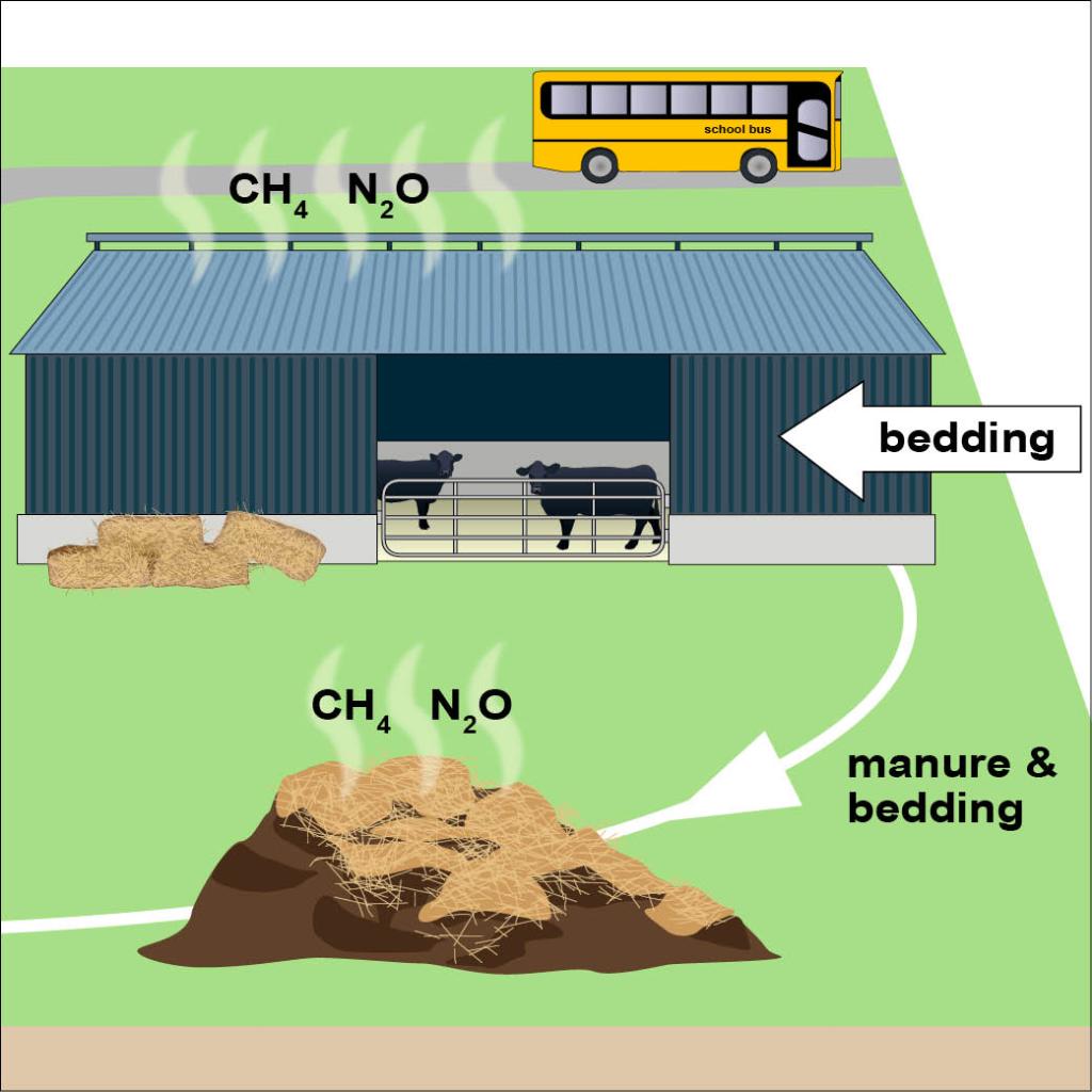 Creating a graphical abstract to explain ‘biochar’ – Graphical Science