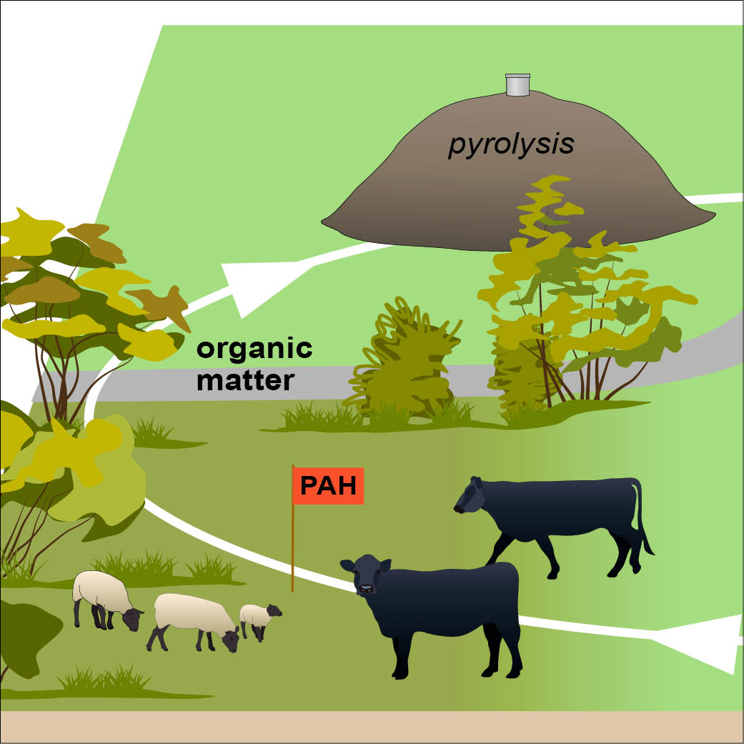 Creating a graphical abstract to explain ‘biochar’ – Graphical Science