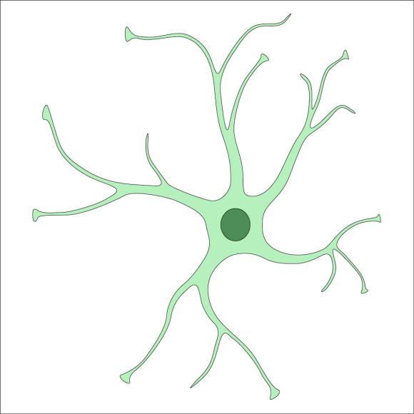 Creating a graphical abstract for a neuroscience paper – Graphical Science