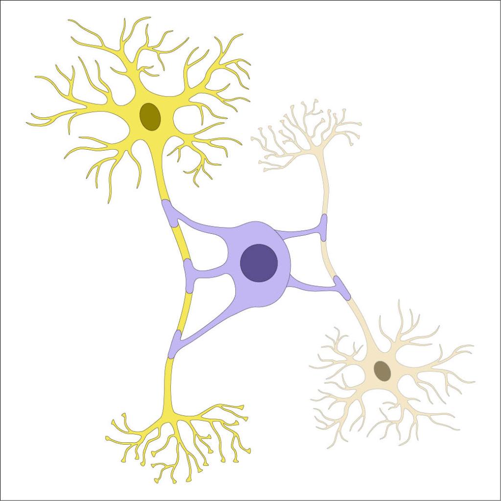 Creating a graphical abstract for a neuroscience paper – Graphical Science