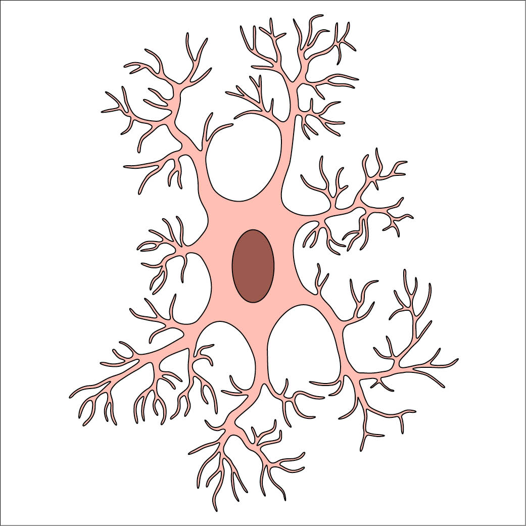 Creating a graphical abstract for a neuroscience paper – Graphical Science