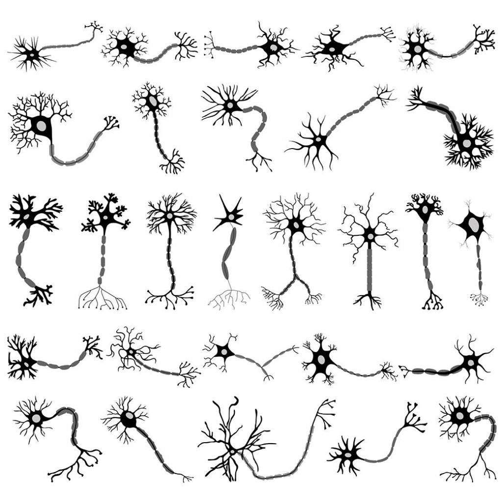 Illustrations for a research article – Graphical Science