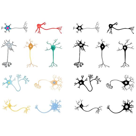 Illustrations for a research article – Graphical Science